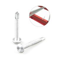 China Drive Type Torx Recess High Shear 5.5x38 Torx Stainless Screws for Purlin to Steel Beam for sale