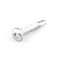 China Coated Pan Head Screws With Cross Recess Roofing Screw For Metal Roof Purlin Connection for sale