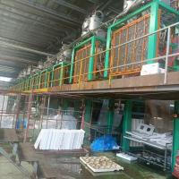 China Automatic EPS Shape Moulding Machine Tray EPS Production Line For Vegetable Ice Box Making for sale