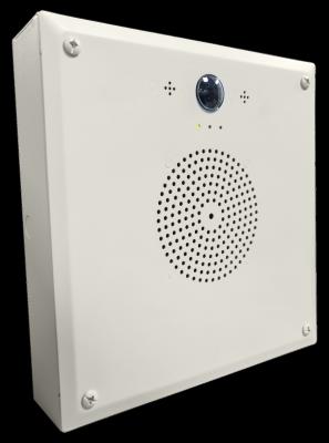 China White Ip Speaker Poe Flashers And Clock Display Surface Mounted For Indoor Use​ for sale
