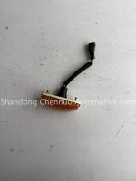 China Truck Parts Shandeka Side Driver'S Cab Side Marker Light WG9925720014 for sale