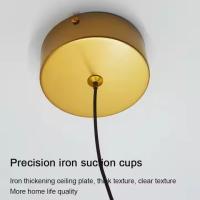 China Modern LED Pendant Lights Indoor Lighting Hanging Lamp Home Bedroom Bedside Living Room Dining Nordic Light Acrylic Chandelier for sale