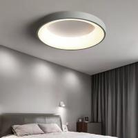 China Bedroom Light Ceiling Light 2024 New Master Bedroom Dining Room Light Nordic Modern Simple Circular Net Red Light for sale