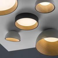 China Bedroom Light Ceiling Light 2024 New Master Bedroom Dining Room Light Nordic Modern Simple Circular Net Red Light for sale