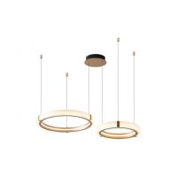 China Creative Nordic Minimalist Double Ring Dining Room Chandelier Simple Modern Round Chandelier Living Room Bedroom Office for sale