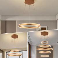 China Home Living Room Dining Room Chandelier Ring Aluminum Modern LED Decorative Ceiling Pendant Lamp for sale