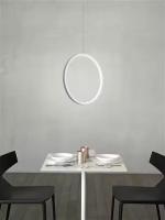 China Long Suspension Line Circular Hollow Ring Led Black White Decorative Modern Pendant Light for sale