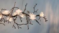 China Handmade Glass Plate 6-Light Branch Chandelier with Modern Retro Style and Bronze Finish for sale