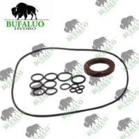 China Rexroth A10VSO18/28/45/71/100/140 Seal Kit for sale