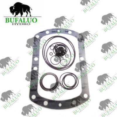 China Rexroth A8VO55/80/107/140/160/172/200 Seal Kit for sale