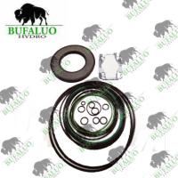 China Rexroth A4VG28/40/56/71/125/140/180/250 Seal Kit for sale