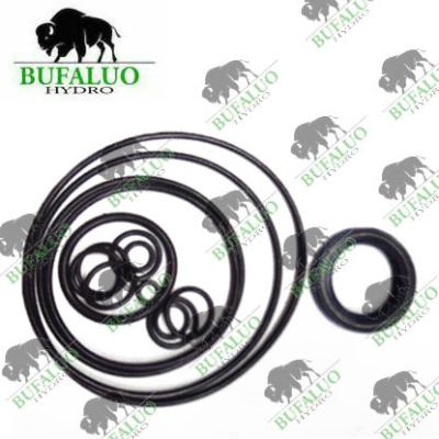 China Rexroth AP2D12/21/25/28/36 Seal Kit for sale
