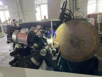China Full Automatic CNC Double Grinding Head Side Angle Gear Saw Blade Grinding Machine LDX-028A for sale