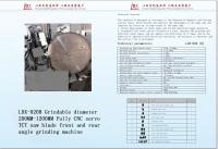 China CNC Machine For Grinding TCT Saw Blade TCT Saw Blade Grinding Machine LDX-020B for sale