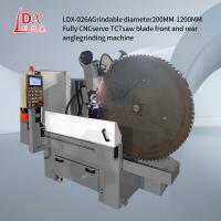 China High Precision Large TCT Saw Blade Front And Rear Angle Grinding Machine LDX-026A for sale