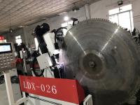 China Customized Large CNC Circular Saw Blade Front And Rear Angle Grinding Machine LDX-026A for sale