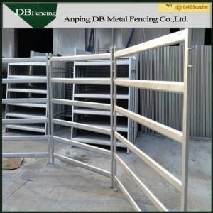 China Livestock Horse / Cattle Corral Panels , Low Carbon Steel Metal Corral Fencing for sale