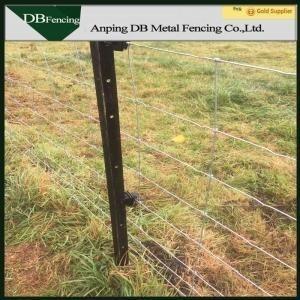 China Australia Standard Black Steel Fence Posts , Waterproof Star Pickets For Fencing for sale