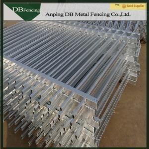 China Decorative Security Steel Pipe Wrought Iron Fence Around Pool / House / Driveway for sale