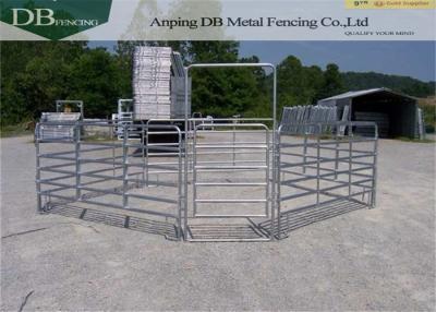China Galvanized Portable Horse Fencing Panels , Free Standing Livestock Panels for sale