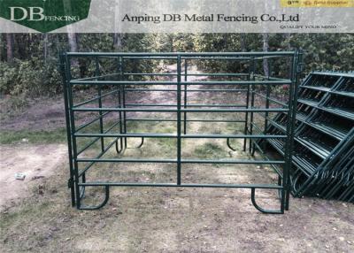 China Portable Security 6 Bar Corral Fence Panels Steel Livestock Fencing In Farm for sale