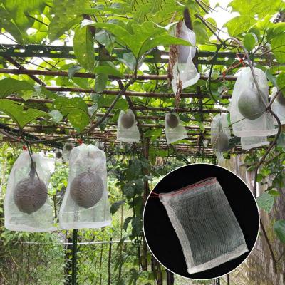 China Waterproof Easy Grow Fruit Cover Net For Vegetables Wristband And Insect Birds for sale