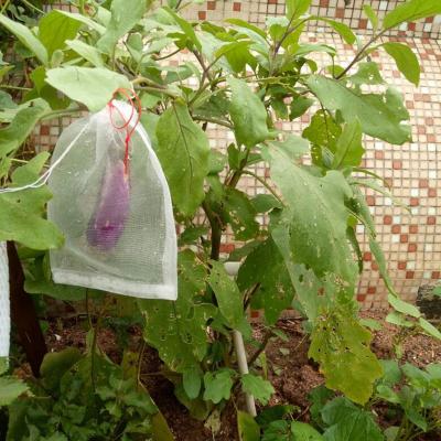 China Non - Toxic Water Resistance Fruit Protection Bags for sale