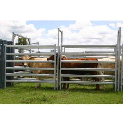 China HDG Victoria Cattle Corral Panels 6 Bar Cattle Rail 1.8m High Locking Pins for sale