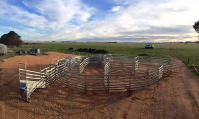 China 2.1*1.8m Full Welded Corral Fence Panels Hot Dipped Galvanized For Cattle Horse for sale