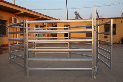 China 1.8x2.1m Corral Fence Panels 6 Rails Oval 40x80mm 50mm*50mm Galvanized Square Tube for sale