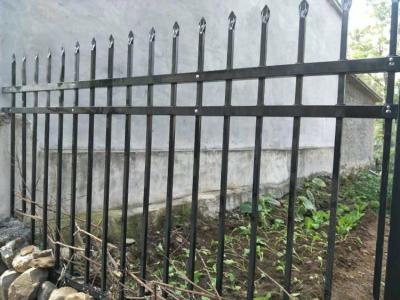 China Modern ASTM A -653 Steel Picket Fence Galvanized And Powder Coated Black for sale