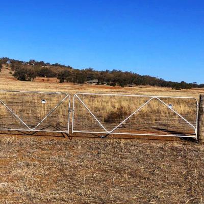 China Galvanized N Stay Welded Mesh Steel Farm Gates for sale