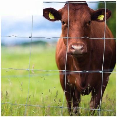 China Farm Livestock Woven Hinge Joint Metal Farm Fence for sale