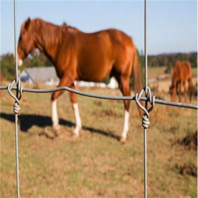 China 2m X 50m Hot Dipped Galvanized Fixed Knot Wire Farm Fence for sale