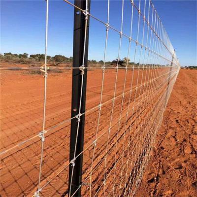China Anti Corrosion 200m Galvanized Fixed Knot Deer Fence for sale