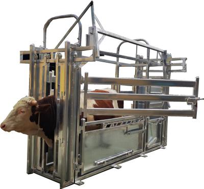 China Vet crush cattle board extrusion crushing cattle processing equipment and weighing system for sale