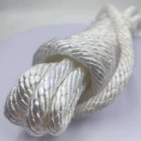 China High Strength 100% Polyester Ropes 10mm Goods Package Braided Rope for Various Needs for sale