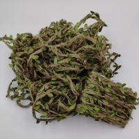 China Rattan Green Leaf Braid Jute Rope Ideal Material for Kindergarten Environmental Layout for sale