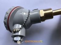China PT500 Platinum RTD Temperature Sensors for Nuclear Power Plant with General Purpose Heads for sale