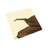 China Kitchenware Inoxidable SS Coloured Sheet , Anti Oxidation Gold Stainless Steel Plate for sale