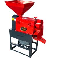 China 6N100 mini rice mill 300KG per hour for sale