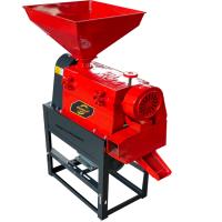China 6N100 mini rice mill 300KG per hour for sale