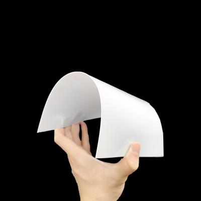 China Customization Service Pet Material Plastic Sheets Thermoforming Petg Panels Pet Sheet Roll for Solar Back for sale