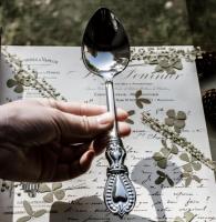 China Recyclable Stainless steel tea fork ideal accessory affordable to range elegant and practical design for tea preparation for sale