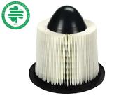 China Ford Truck Automotive Engine Air Filters F6ZZ-9601-A YC3Z-9601-AA for sale
