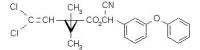 China Cypermethrin 30% EC 25% EC 10% EC 4% EC Agrochemical Insecticide for Crop Protection for sale
