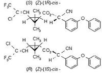 China Lambda-Cyhalothrin 25% WP 10% EC Agrochemical Insecticide for Crop Pest Control for sale