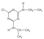 China Atrazine 50% SC and 80% WP Selective Herbicide for Maize Sorghum for sale