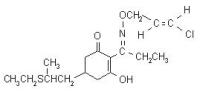 China Clethodim 12% EC 14% EC Grass Herbicide Systemic Post Emergence Control 60 240 g ha for sale
