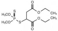 China Malathion 95% 96% TC Pesticide Technical Grade Broad Spectrum Insecticide for sale